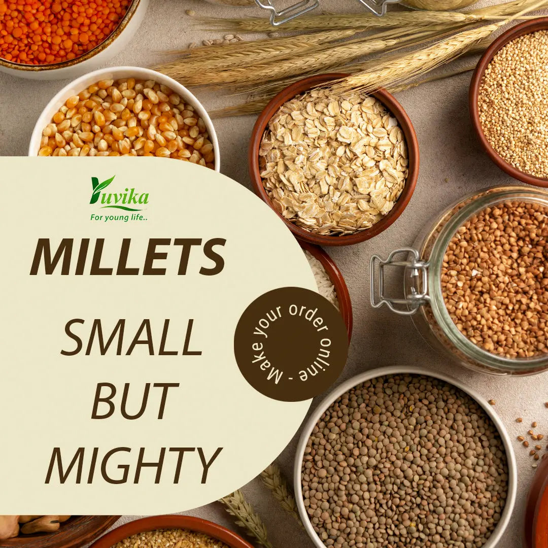 Millets - Yuvika Herbs Ayurveda