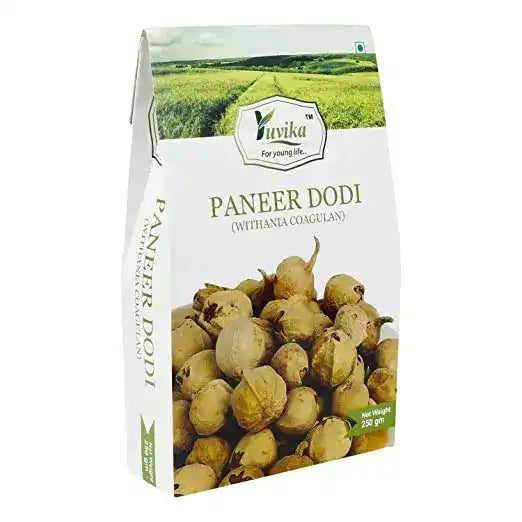 Paneer Dodi - Paneer Ke Phool - Withania Coagulan - Yuvika Herbs ...