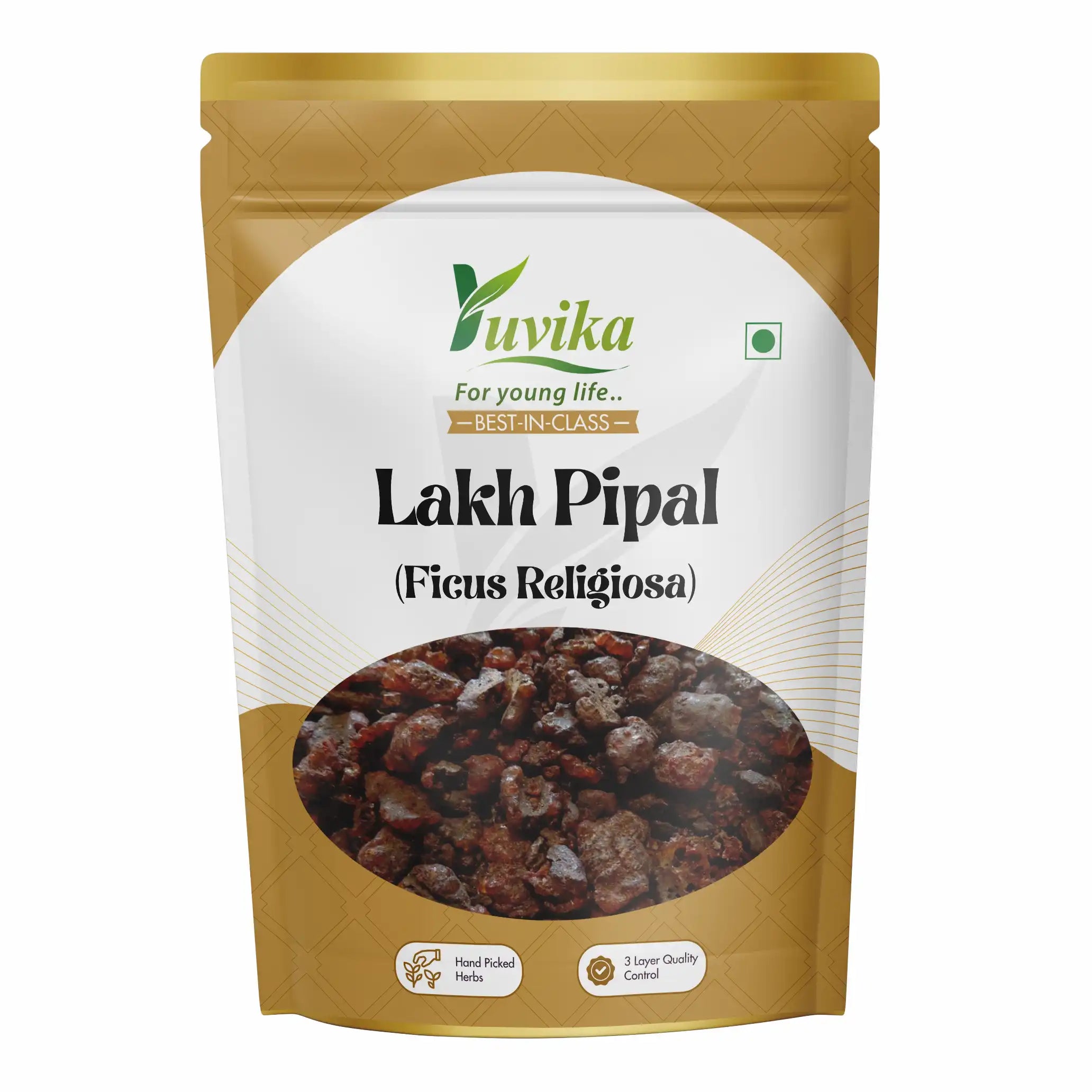 Lakh Pipal - Ficus Religiosa - Shellac Lac - Holy Fig Tree - Yuvika ...