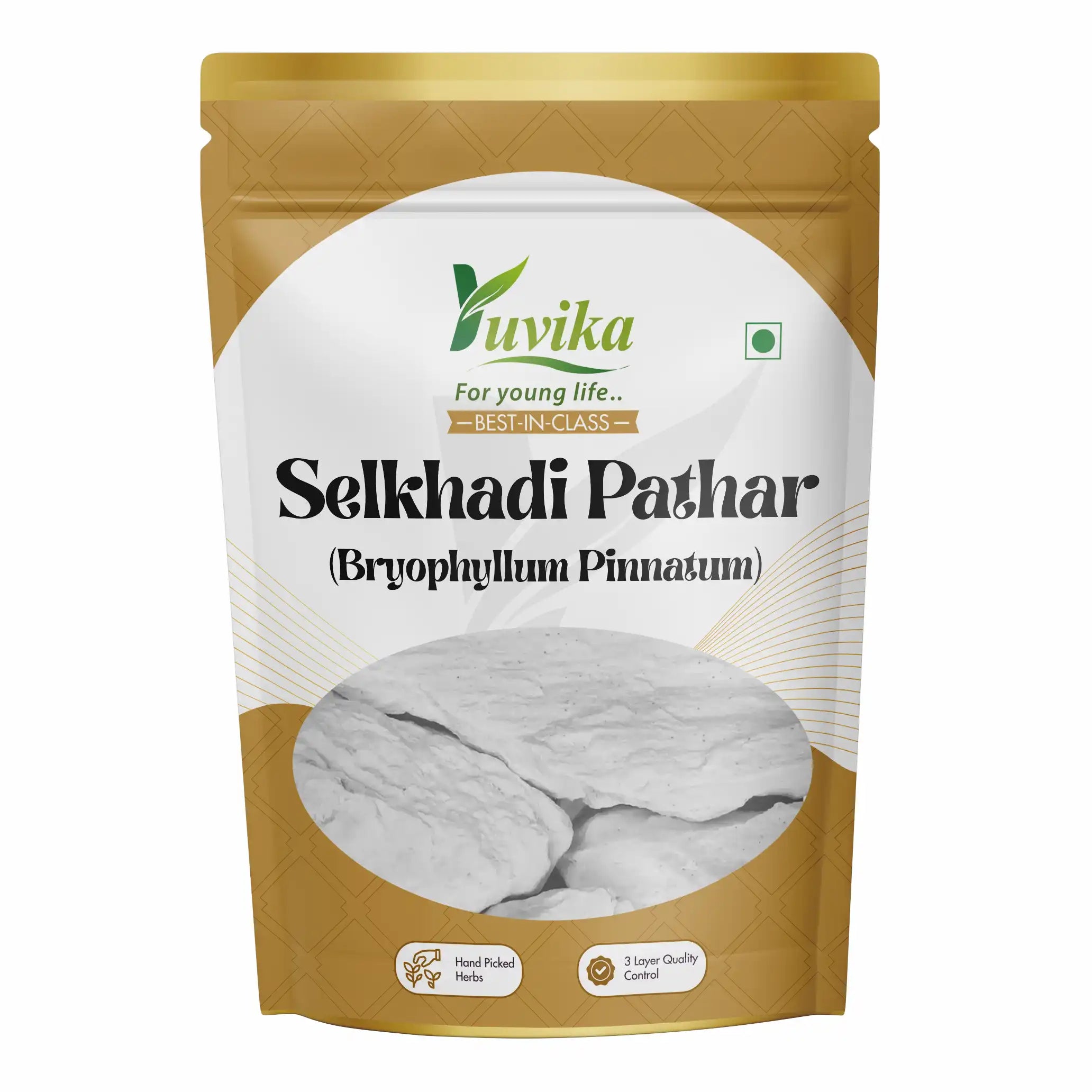 Selkhadi Pathar - Selkhari - Ghiya Pathar - Bryophyllum Pinnatum ...