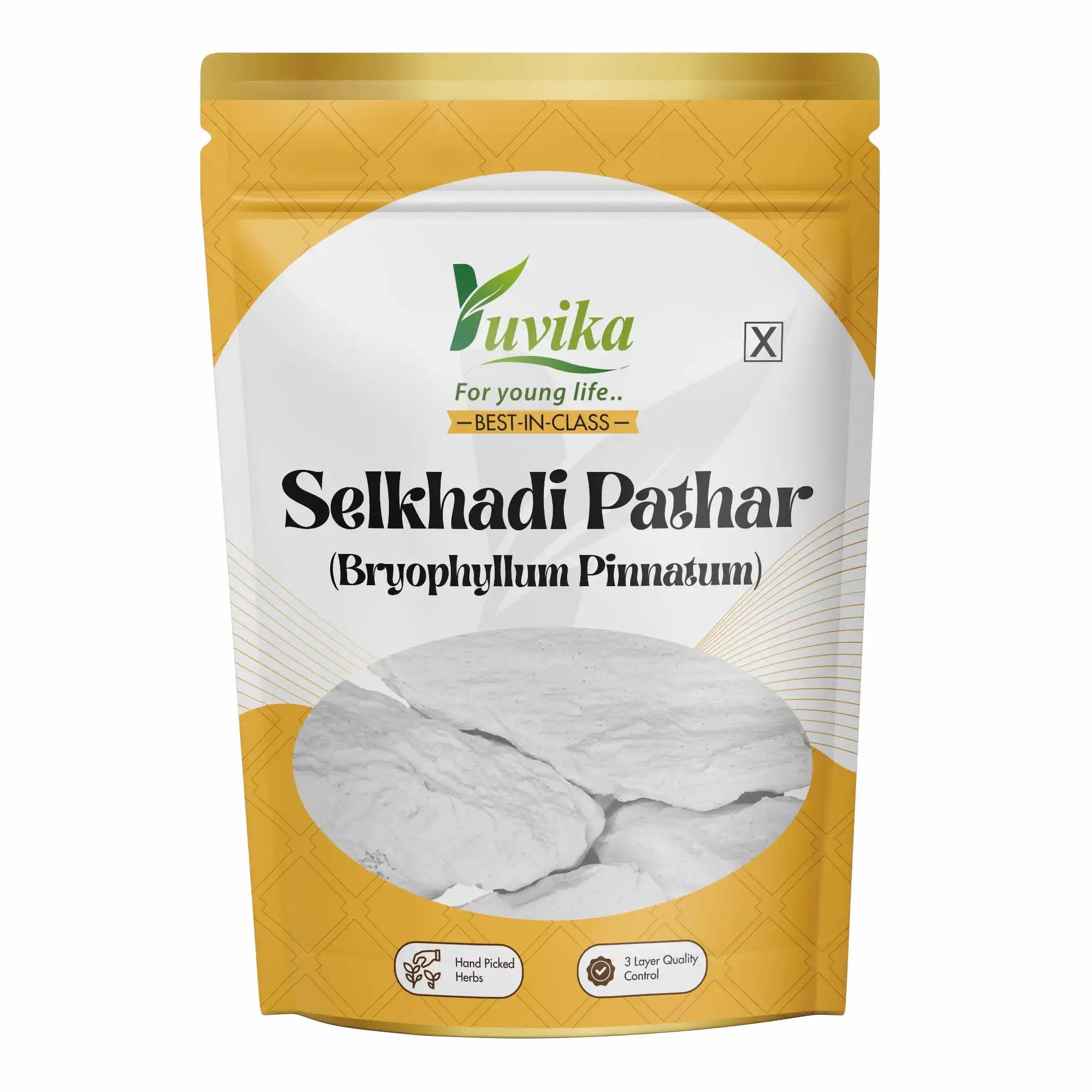 Selkhadi Pathar - Selkhari - Ghiya Pathar - Bryophyllum Pinnatum ...