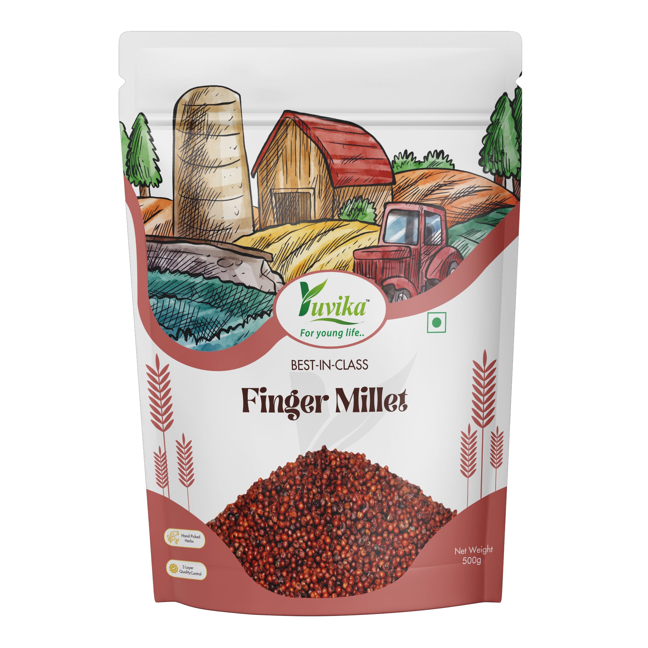 Finger Millets - Ragi (500gm) – Yuvika Herbs Ayurveda